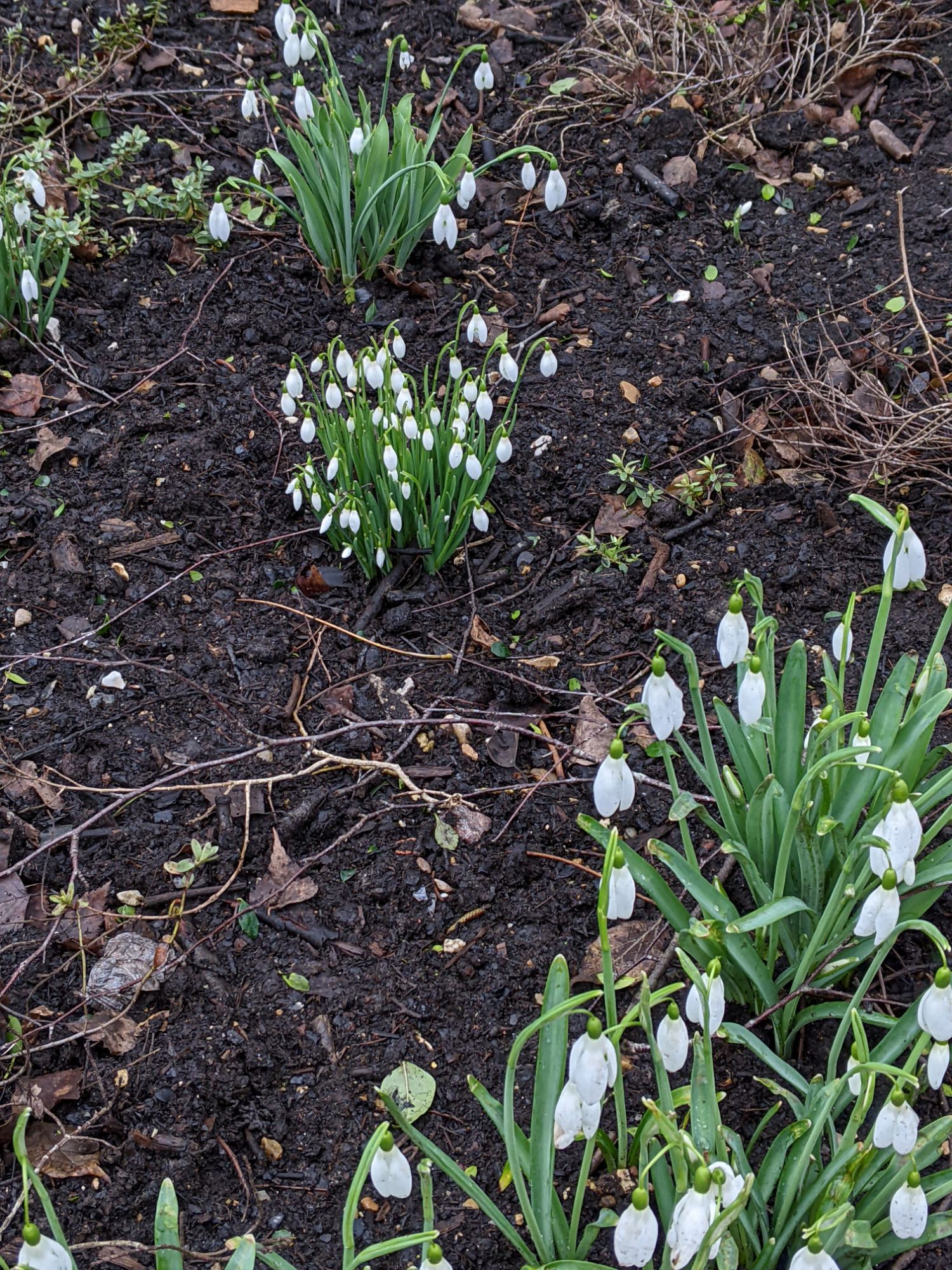 Where did January go? – Kathleen Jowitt